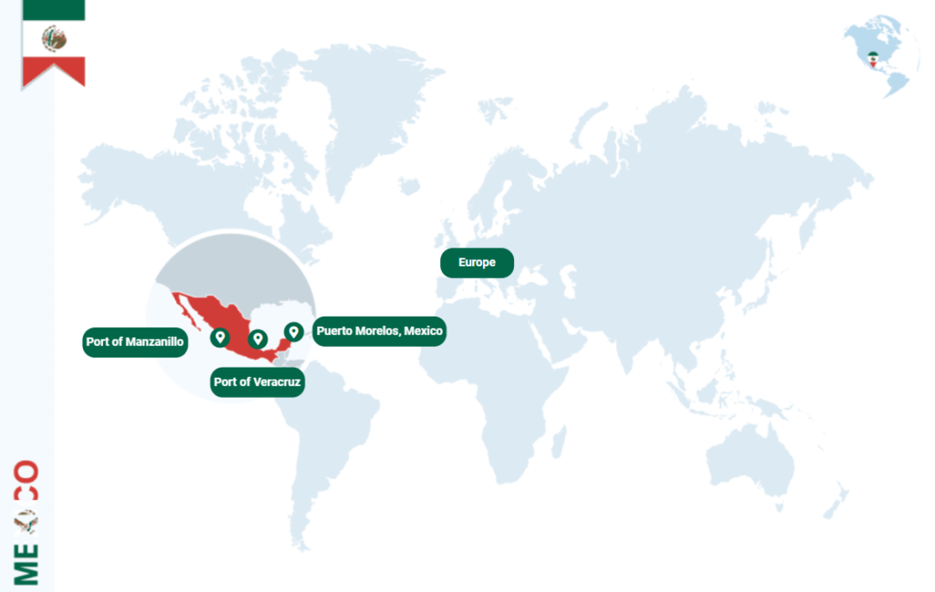 Car Shipping Service from UK to USA [UPDATED 2023]